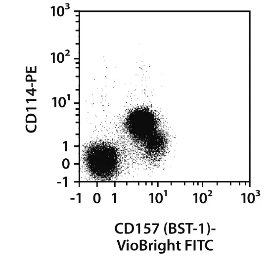 CD157 (BST-1) Antibody, anti-human, REAfinity™ | Miltenyi Biotec | 대한민국