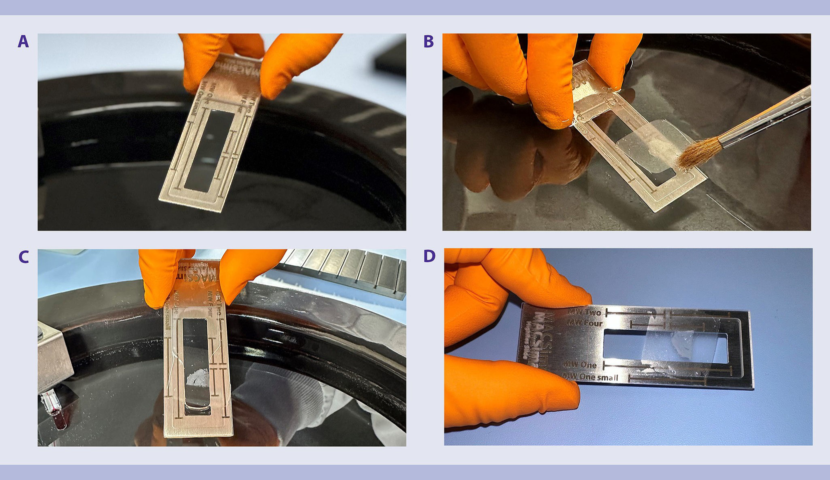Spatial analysis | RNA transcripts and proteins | FFPE tissues ...