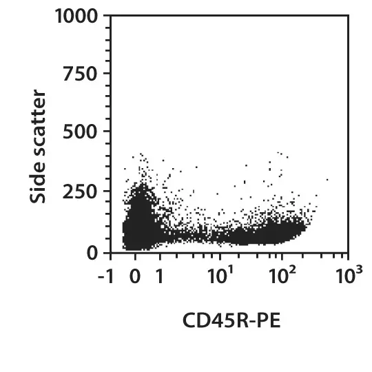 CD45R (B220) Antibody, anti-mouse | Miltenyi Biotec | USA