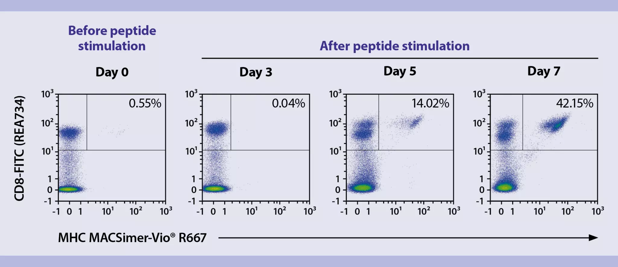 Preparation of MACSpep single peptides for stimulation and expansion of ...