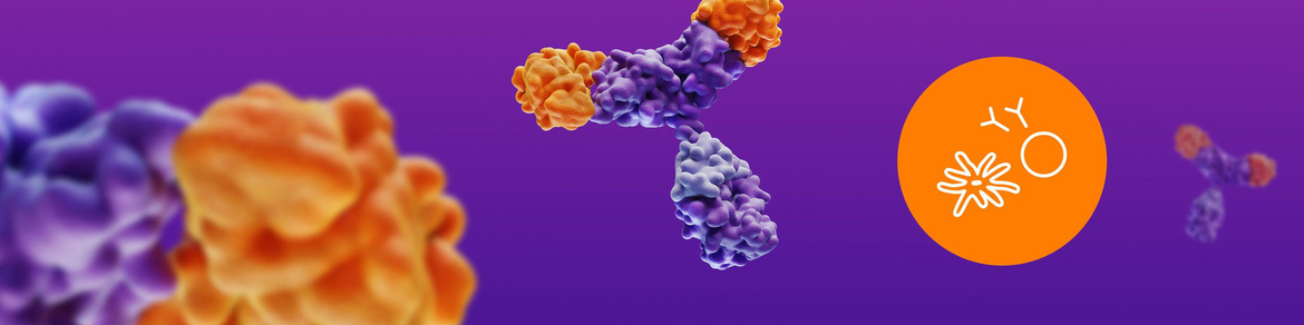 Antibodies for Functional Assays | Products | Miltenyi Biotec | USA