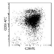 CD56+CD8+/CD8- NK Cell Isolation Kit, human | Miltenyi Biotec | 中国