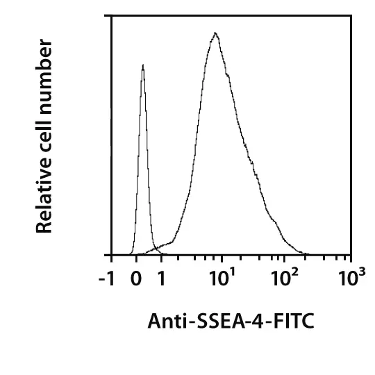 SSEA-4 Antibody, anti-human, REAfinity™ | Miltenyi Biotec | USA