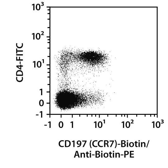 CD197 (CCR7) Antibody, anti-mouse | Miltenyi Biotec | USA