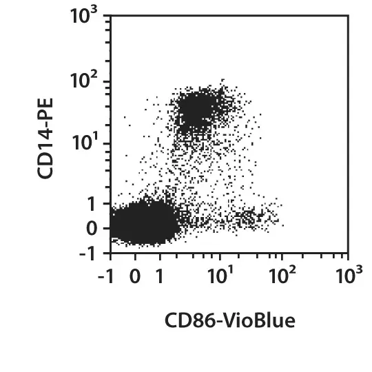 CD86 Antibody, anti-human | Miltenyi Biotec | USA