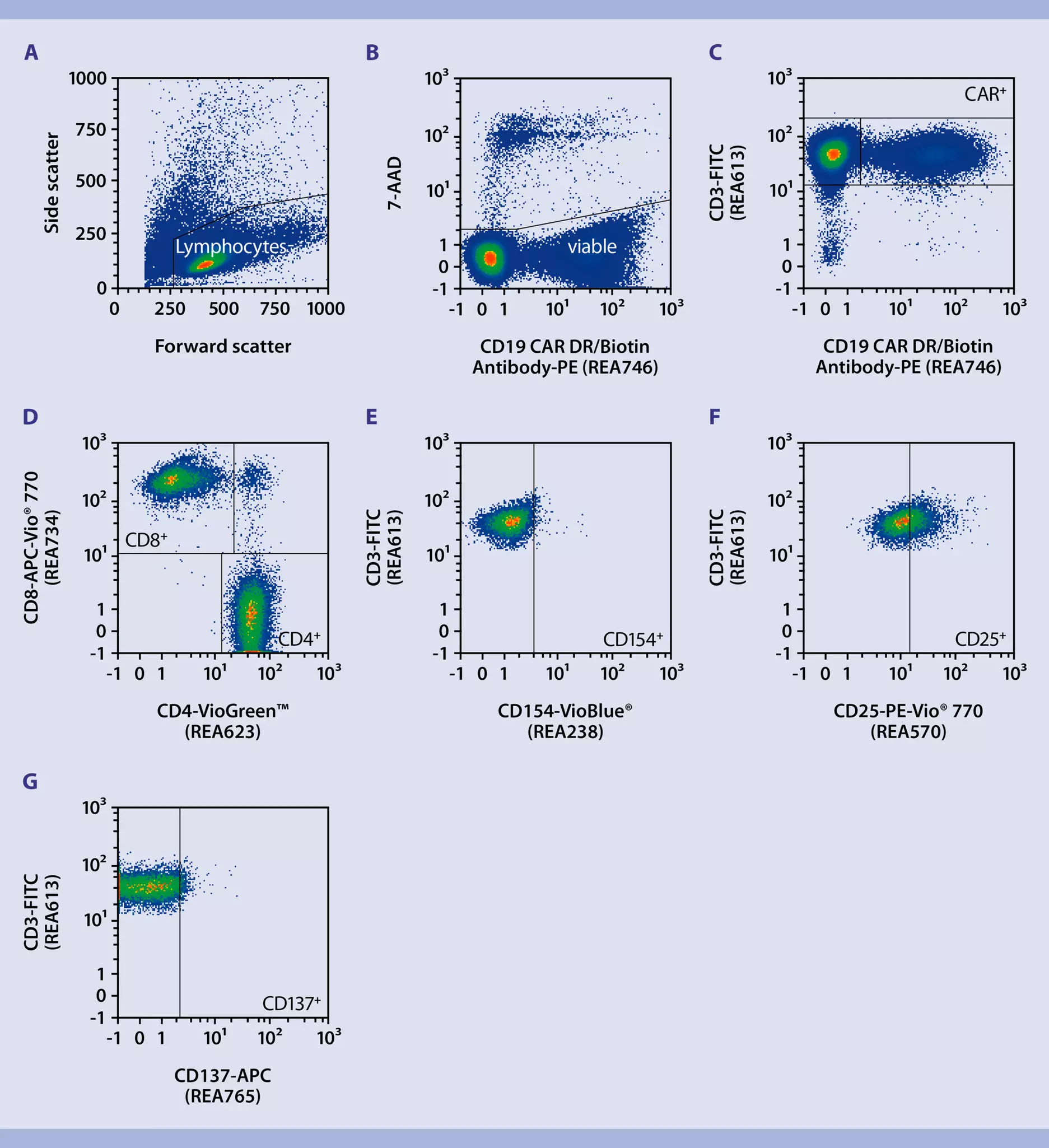 CAR T cell activation | T Cell Transduction | Miltenyi | Miltenyi ...