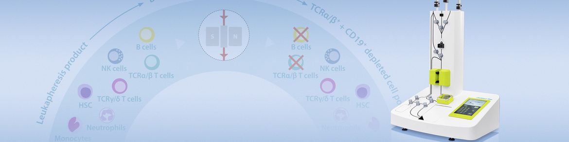 Cell enrichment | Cell depletion | Clinical-scale | CliniMACS® Plus ...