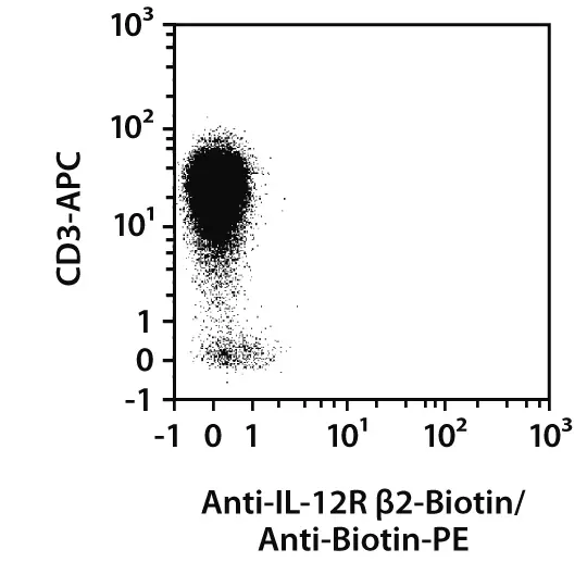 IL-12R β2 Antibody, anti-human, REAfinity™ | Miltenyi Biotec | USA