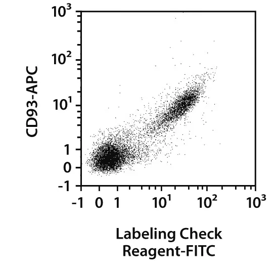 CD93 MicroBeads, mouse | Miltenyi Biotec | India