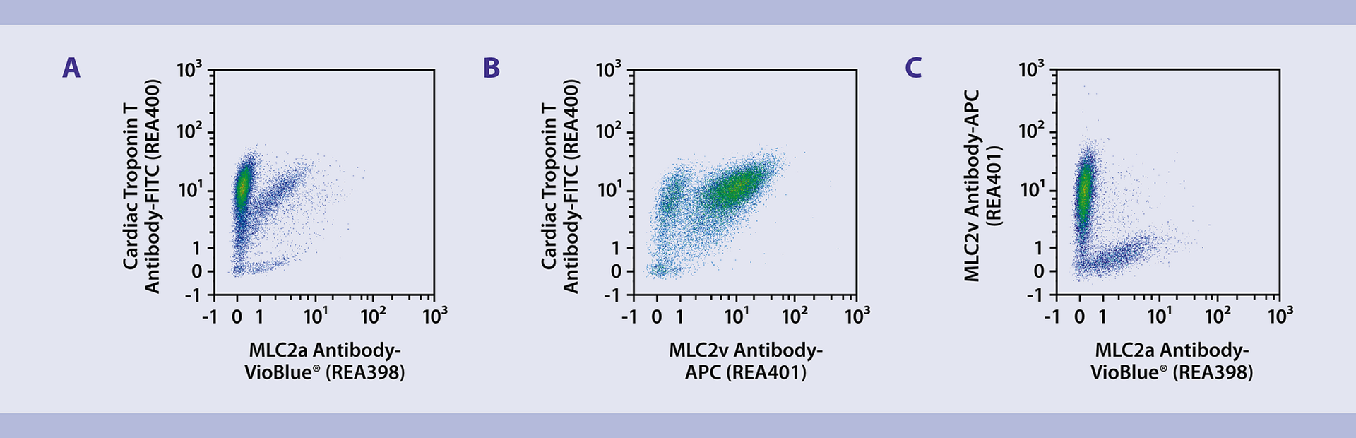 Immunophenotyping |Neonatal cardiomyocytes | Rat | Protocol | Miltenyi ...