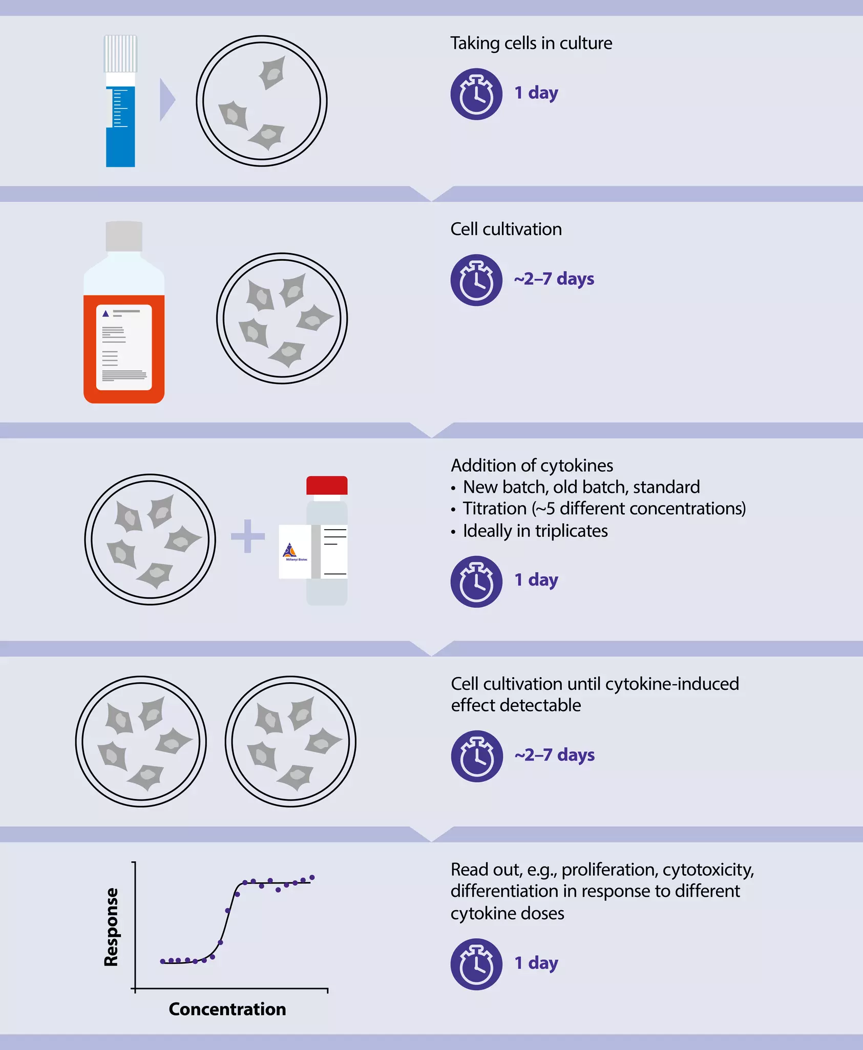 Cytokines for cell culture | Activity-based dosing for precise results ...