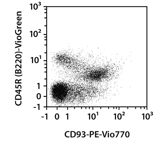 CD93 Antibody, anti-mouse, REAfinity™ | Miltenyi Biotec | USA