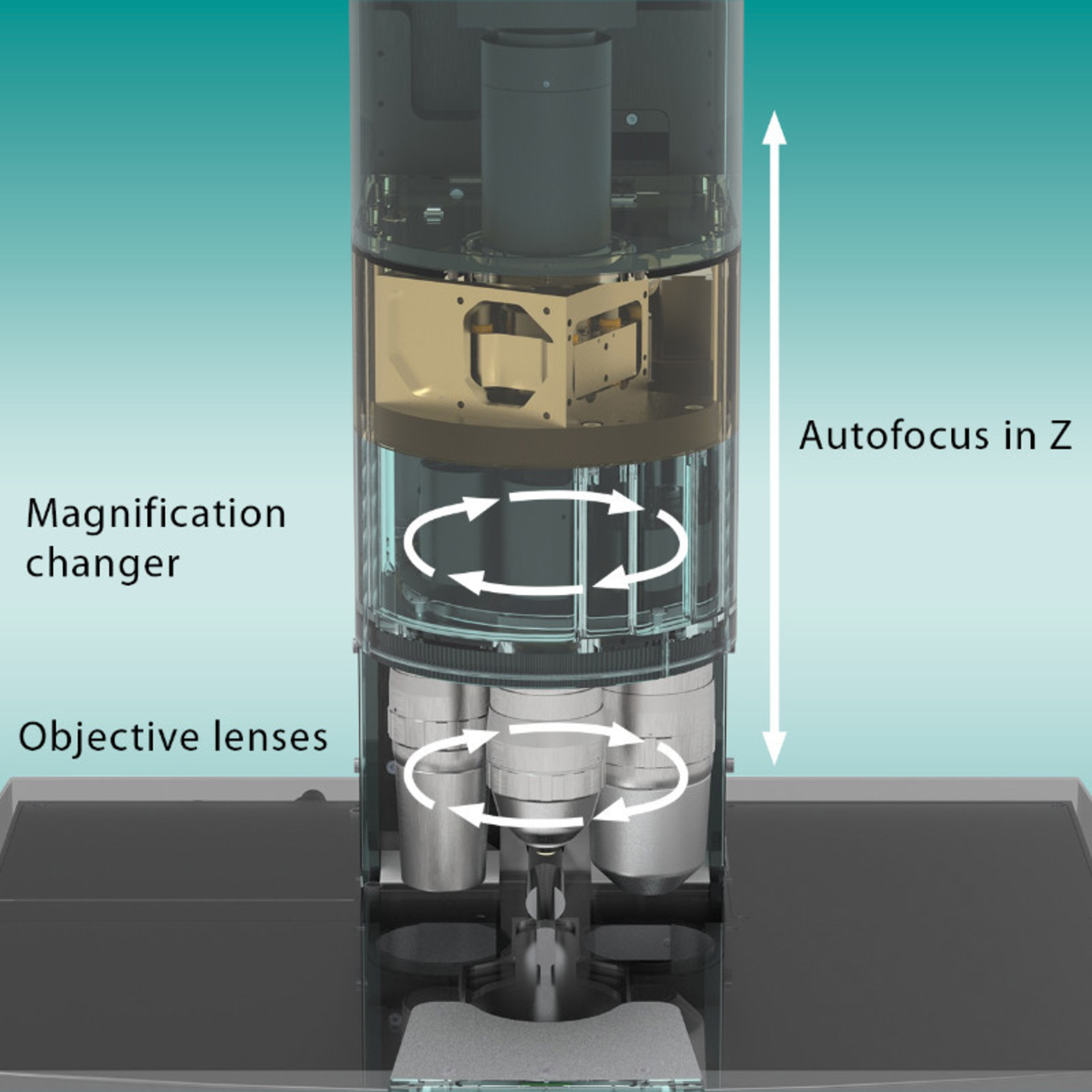UltraMicroscope Blaze™ | Miltenyi Biotec | USA