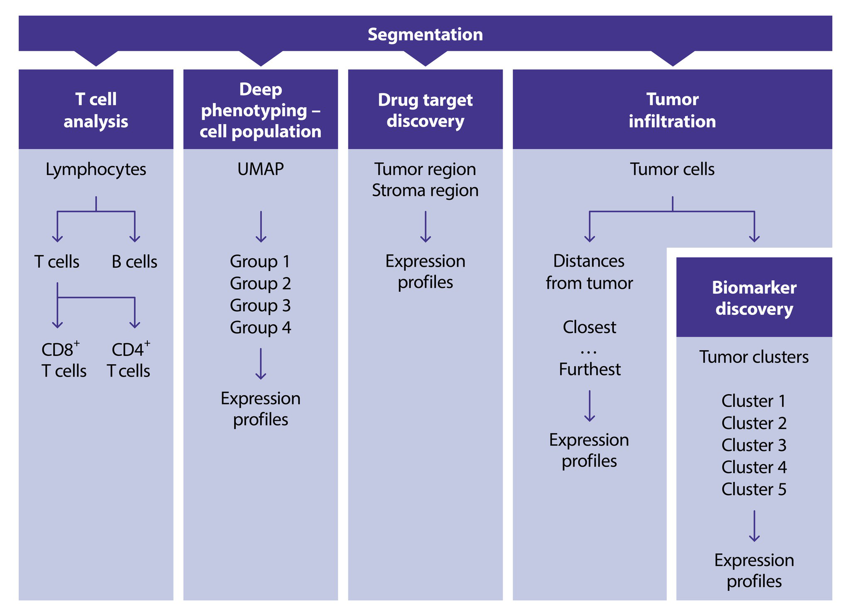 Spatial biology and imaging | Miltenyi Biotec | USA