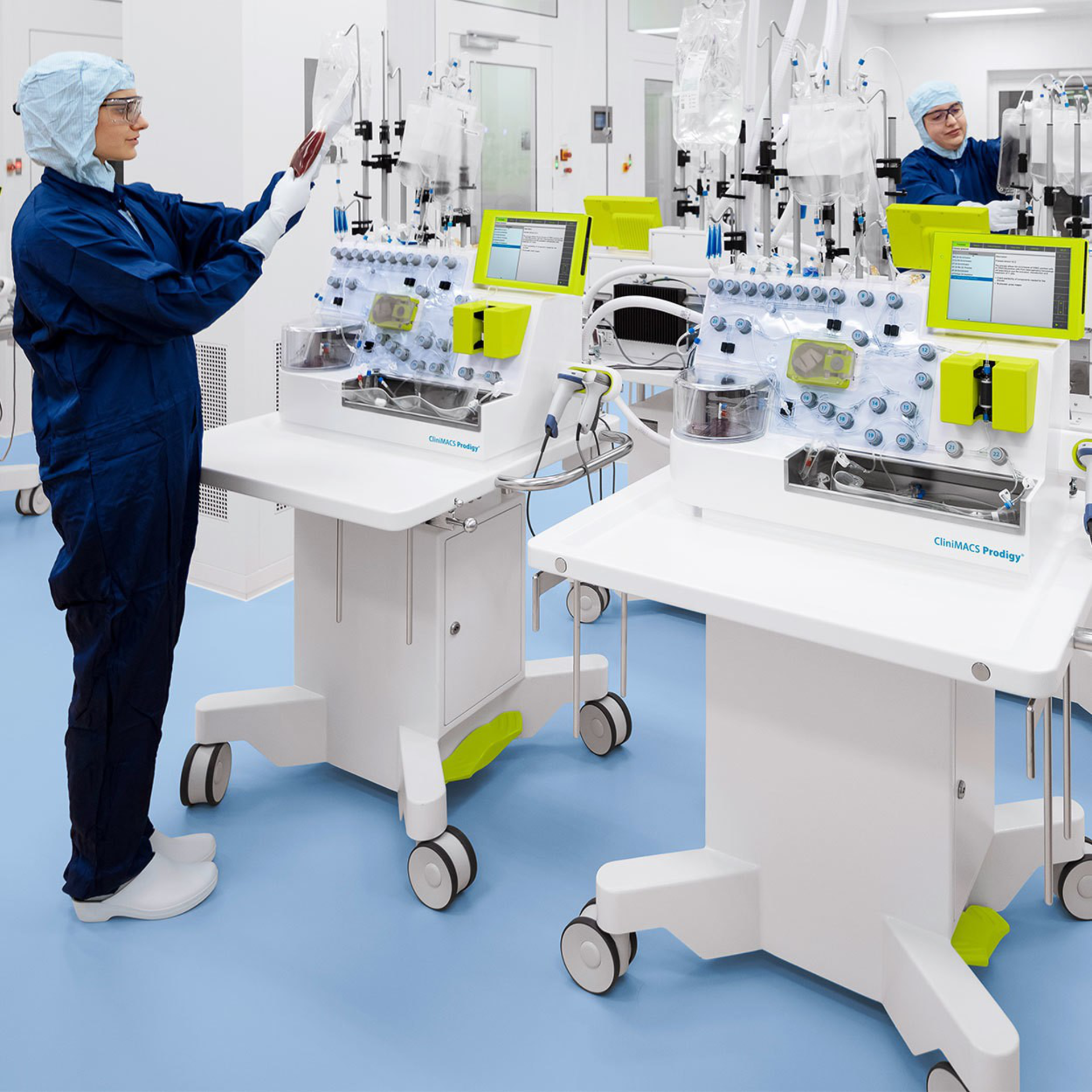 Pluripotent stem cell differentiation to immune cells | Miltenyi Biotec ...