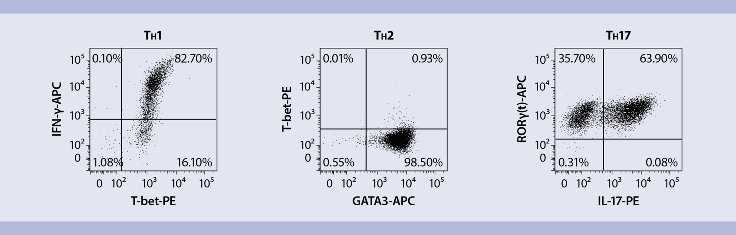 TH1, TH2, and TH17 polarization | CD4+ mouse T cells | Protocol ... TH1, TH2, and TH17 polarization | CD4+ mouse T cells | Protocol ...