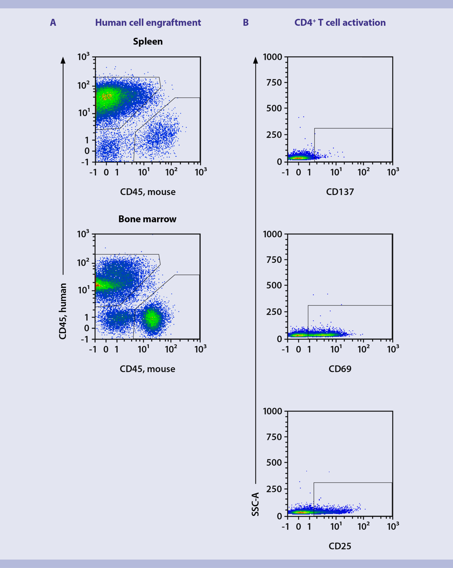 Humanized mouse models | CD34+ cells |QC analysis | Miltenyi Biotec | USA