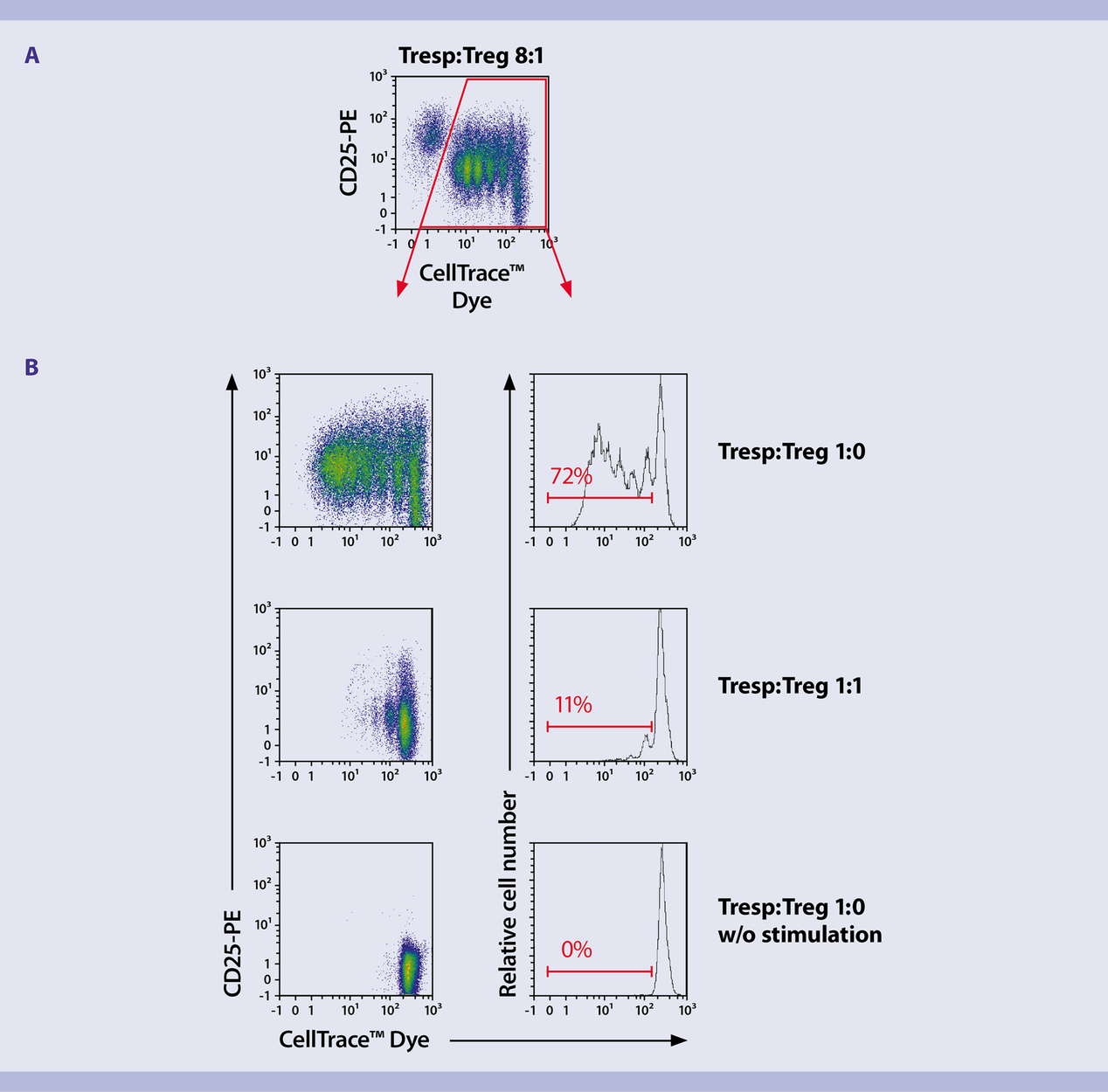 Regulatory T cells | T cell isolation | in vitro suppression | Miltenyi ...