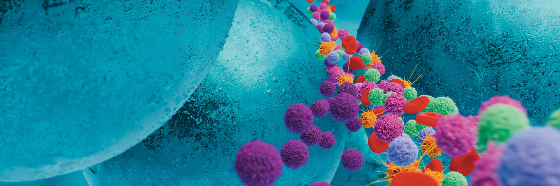 Memory T cells | CD45RA depletion | Miltenyi Biotec | USA