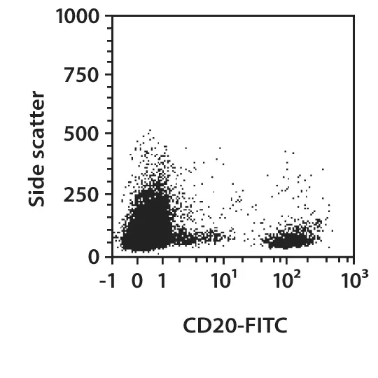 CD20 Antibody, anti-human | Miltenyi Biotec | Great Britain