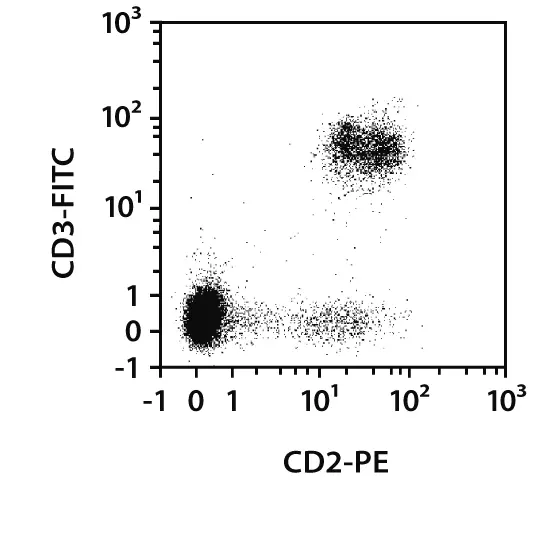 Pan T cells (human) | Miltenyi Biotec | USA