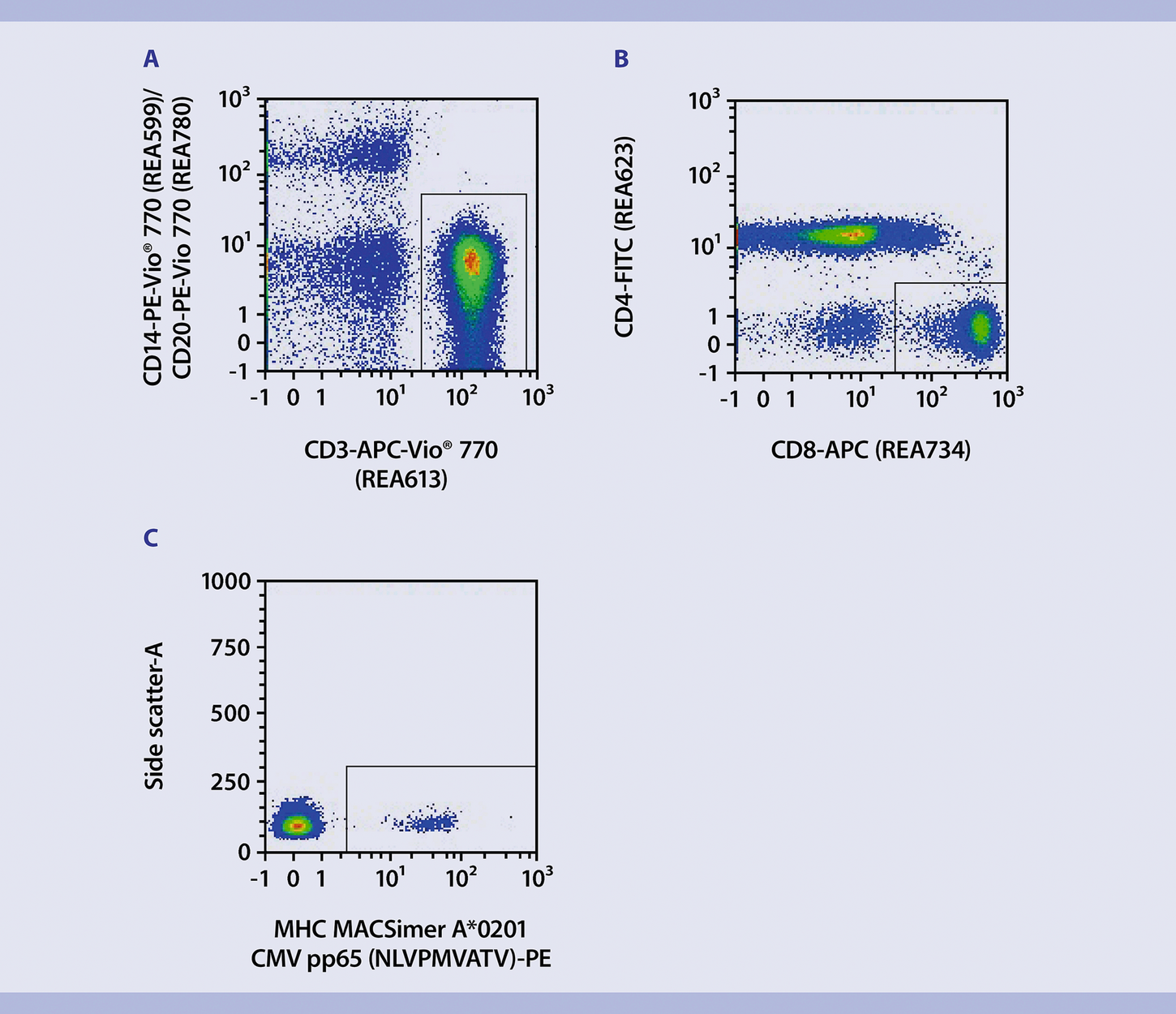 MHC multimers | antigen-specific T cells | MACS Separation | Miltenyi ...