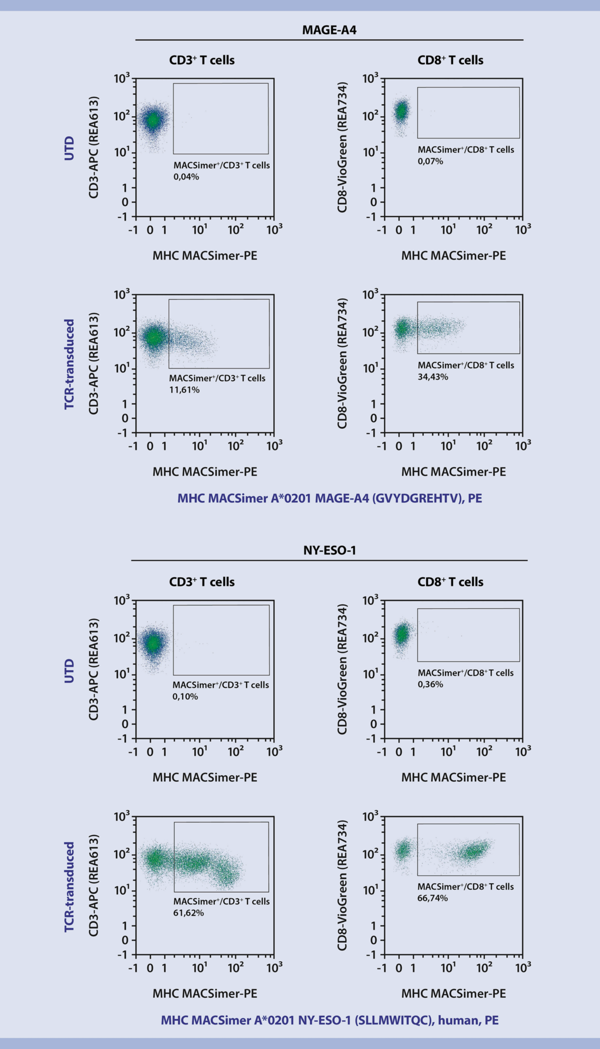 TCR T cell therapy | Miltenyi Biotec | Belgique