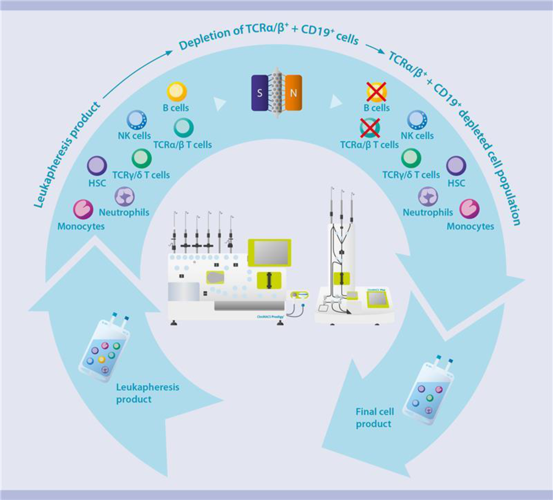 T cell depletion | CD3 CD19 depletion | Miltenyi | Miltenyi Biotec | 대한민국
