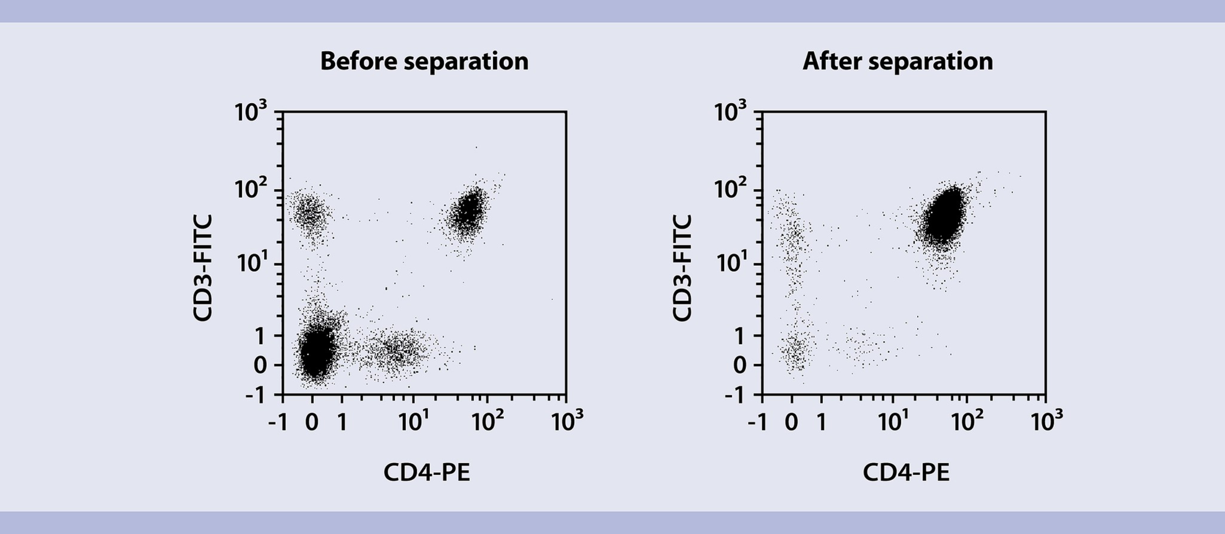 CD4+ T cells (human) | Miltenyi Biotec | Great Britain