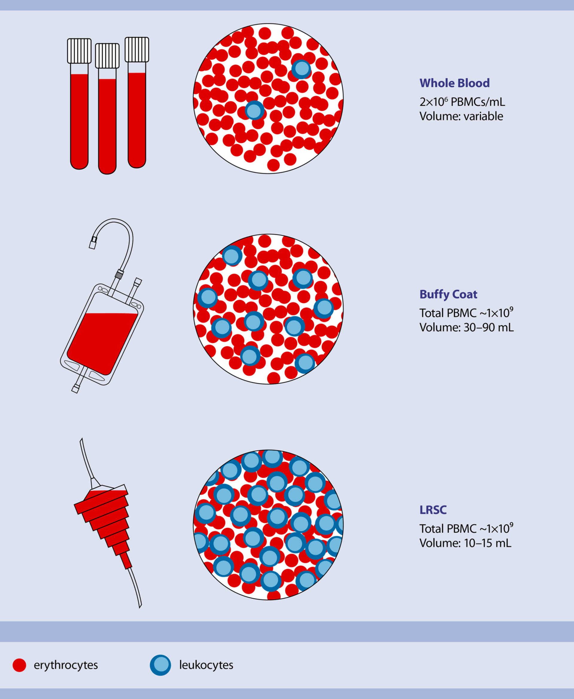 Untouched cell isolation directly from blood | Miltenyi Biotec | Nederland