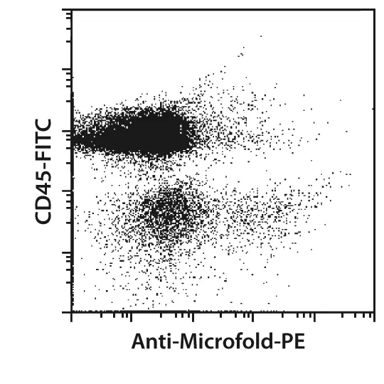 Microfold (M) Antibody, anti-mouse | Miltenyi Biotec | USA