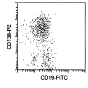 CD138 MicroBeads, human | Miltenyi Biotec | USA