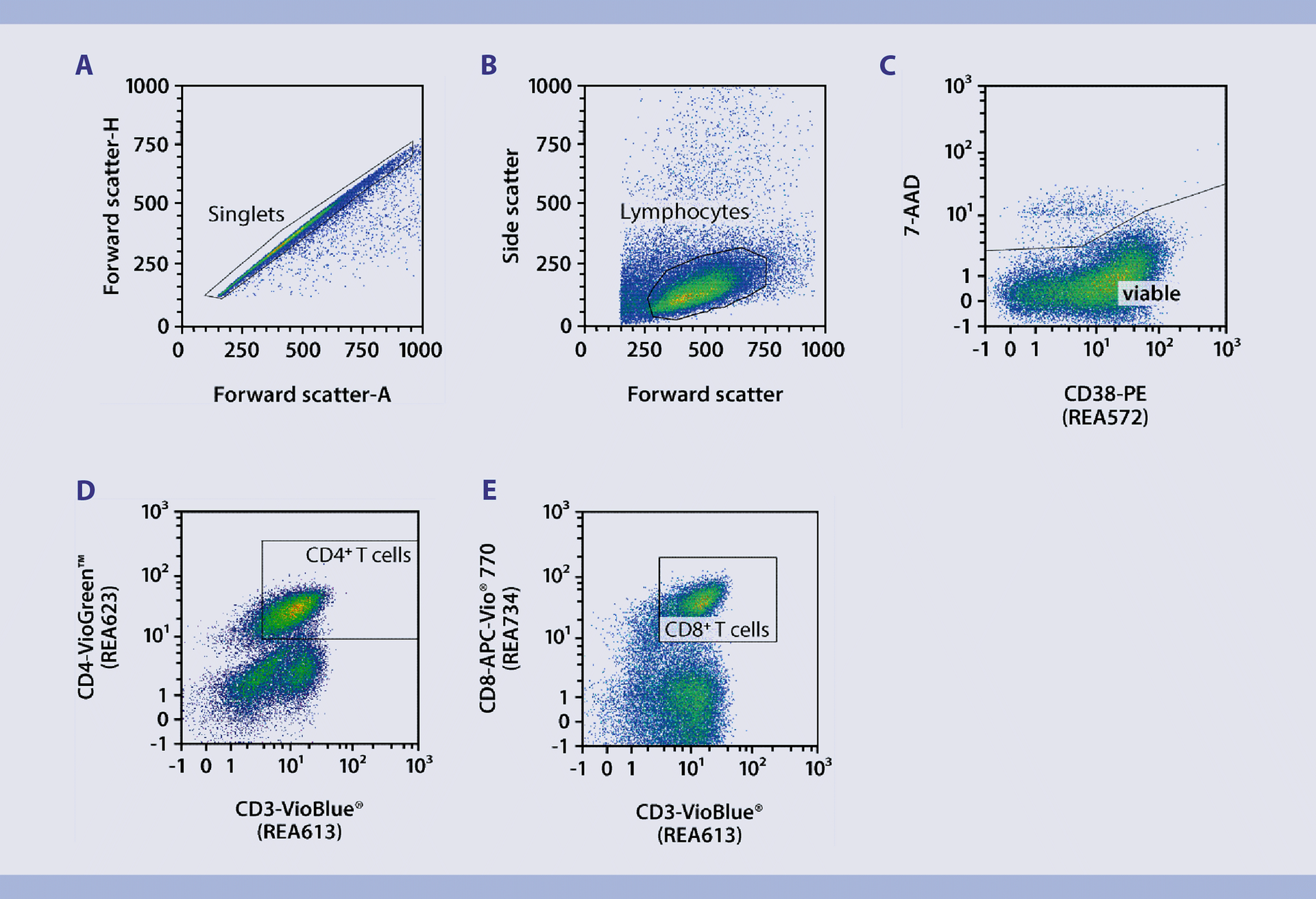 Immunophenotyping | CD4+ CD8+ T cell differentation and exhaustion ...