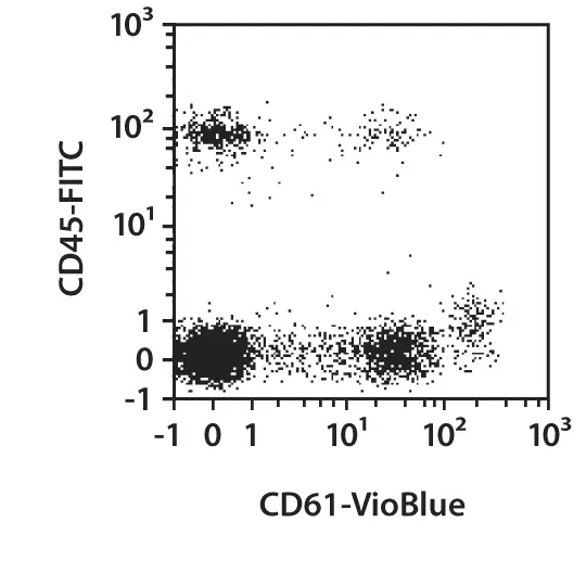 CD61 Antibody, anti-human | Miltenyi Biotec | USA
