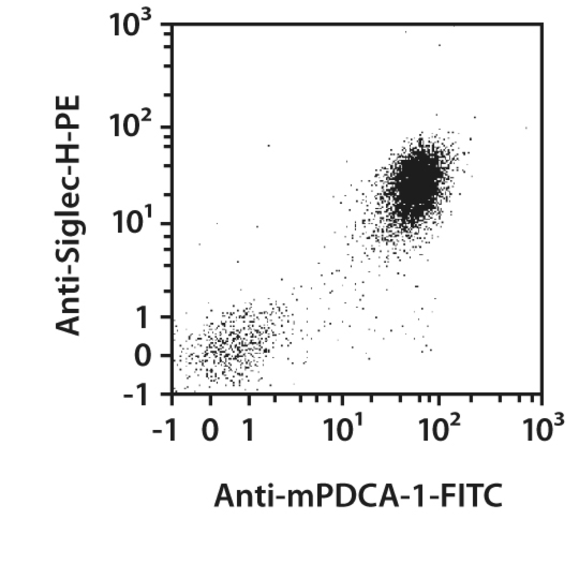 Dendritic cells (mouse) | Miltenyi Biotec | Canada