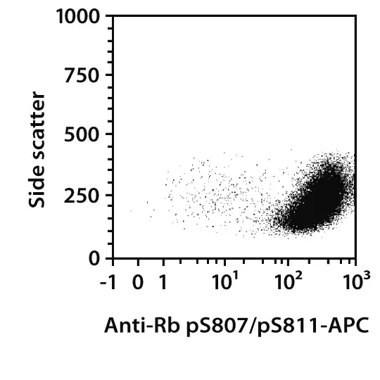 Rb pS807/pS811 Antibody, anti-human, REAfinity™ | Miltenyi Biotec | USA