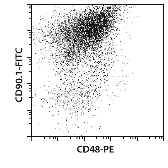 Retinal Ganglion Cell Isolation Kits, rat | Miltenyi Biotec | 대한민국