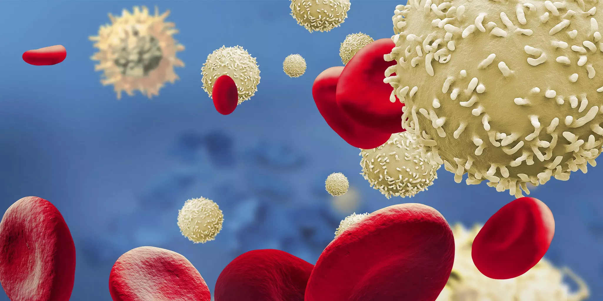 Homepage | Miltenyi Biotec | भारत