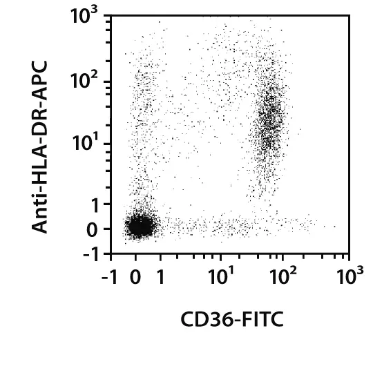 CD36 Antibody, anti-human | Miltenyi Biotec | USA
