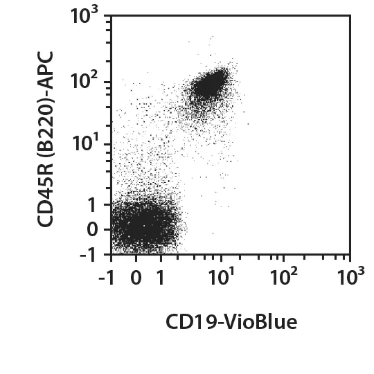 CD19 Antibody, anti-mouse, REAfinity™ | Miltenyi Biotec | USA