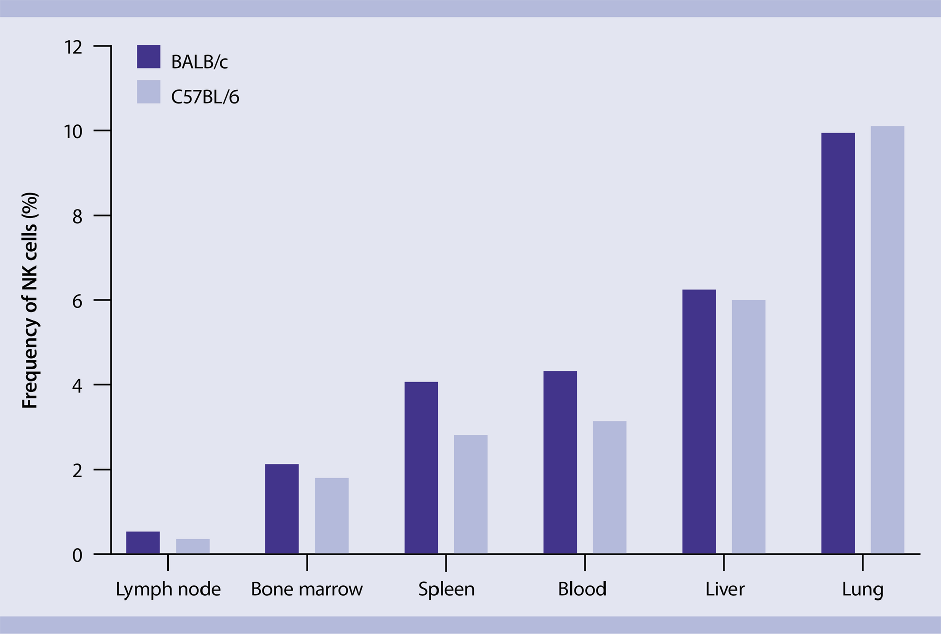 NK cells (mouse) | Miltenyi Biotec | Deutschland