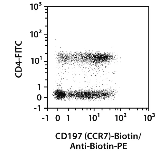 CD197 (CCR7) Antibody, anti-human, REAfinity™ | Miltenyi Biotec | USA