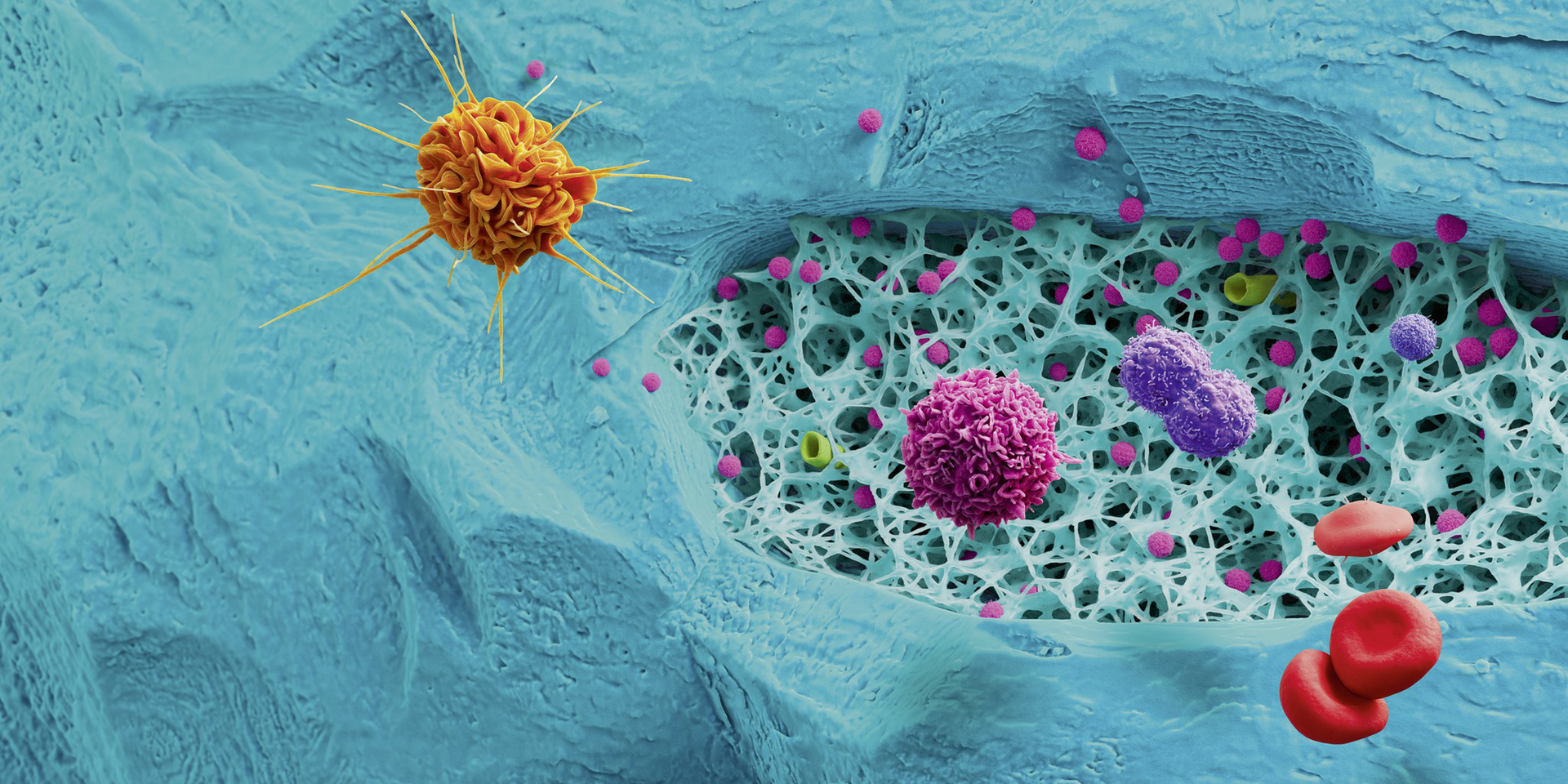 Gene-modified cells | Miltenyi Biotec | भारत