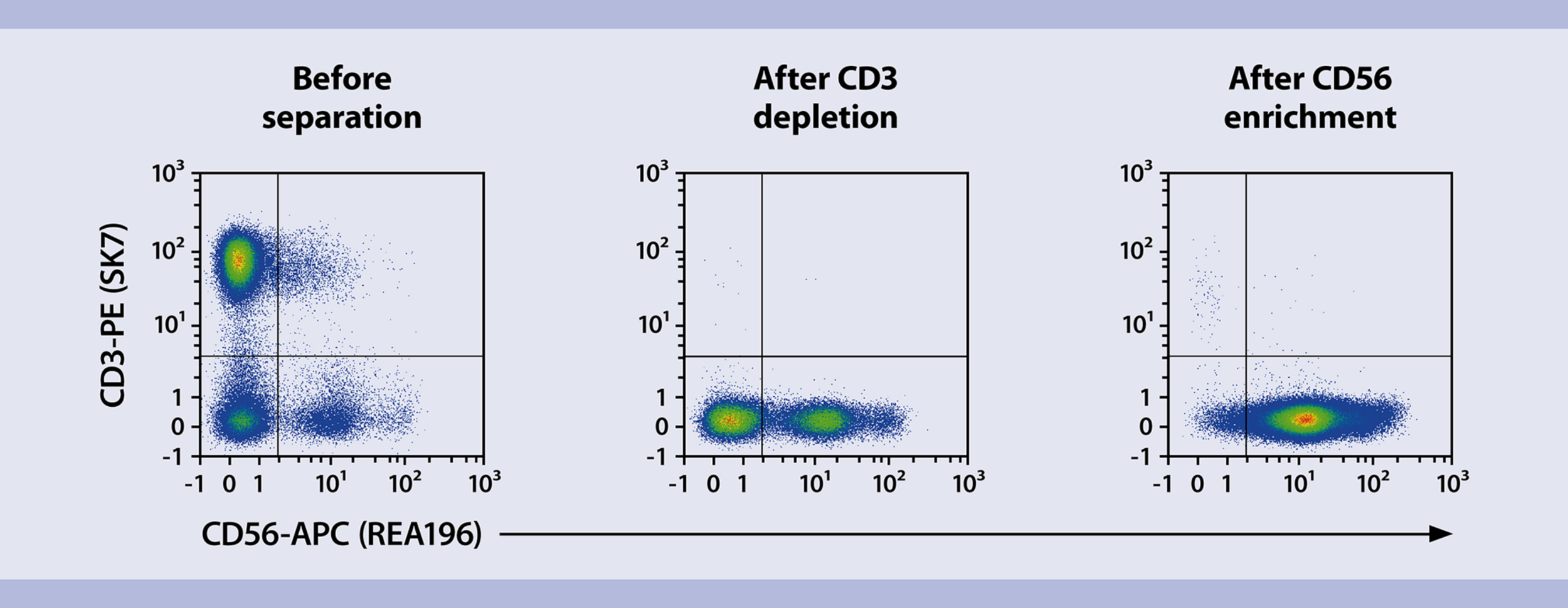 Engineering of CAR NK cells | Protocol | Miltenyi Biotec | USA