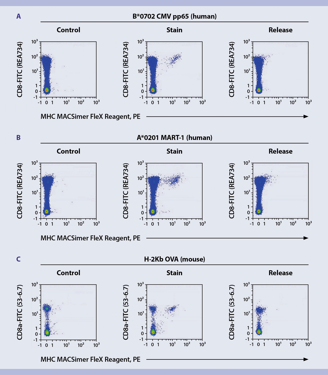 MHC multimer | Antigen-specific T cells | Peptide loading | Miltenyi Biotec | 香港