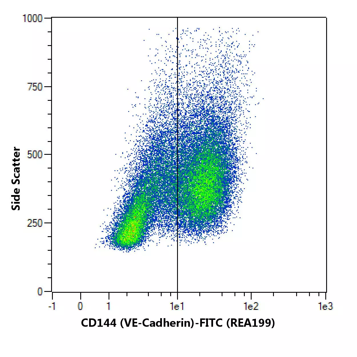 CD144 (VE-Cadherin) Antibody, anti-human, REAfinity™ | Miltenyi Biotec ...