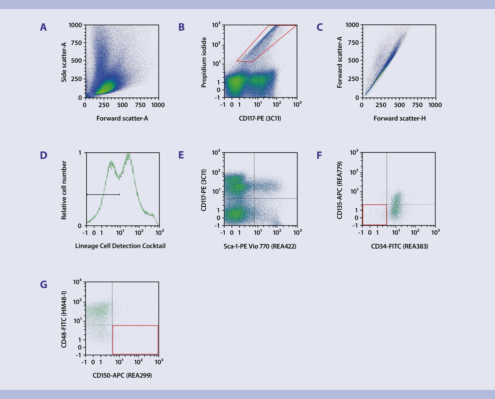Immunophenotyping | HSCs from mouse bone marrow | Protocol | Miltenyi ...
