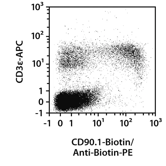 CD90.1 Antibody, anti-mouse/rat, REAfinity™ | Miltenyi Biotec | 日本