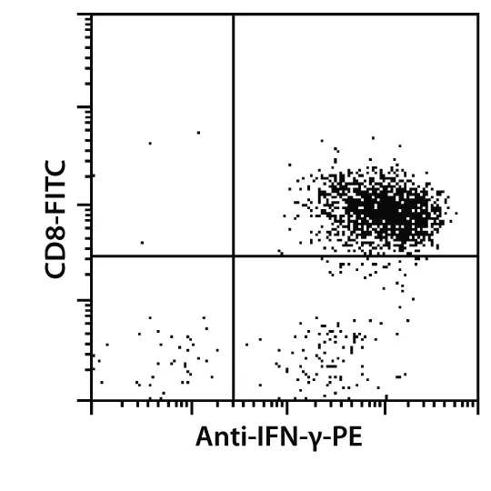 IFN-γ Secretion Assay – Cell Enrichment and Detection Kit (PE), human ...