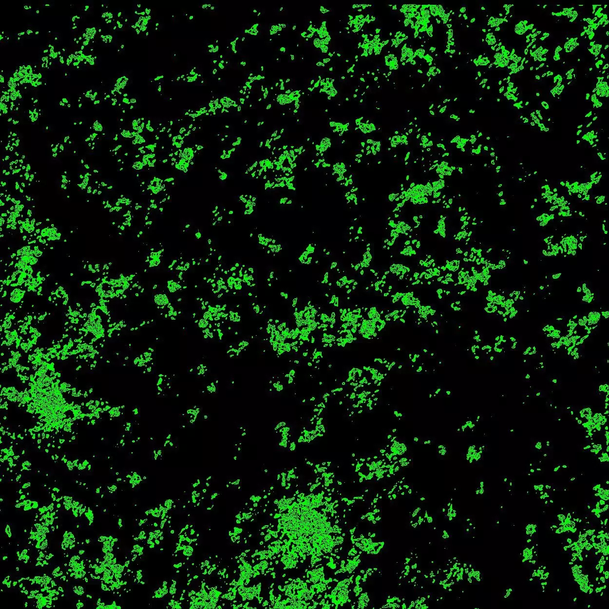 MPO Antibody, anti-human, REAfinity™ | Miltenyi Biotec | USA